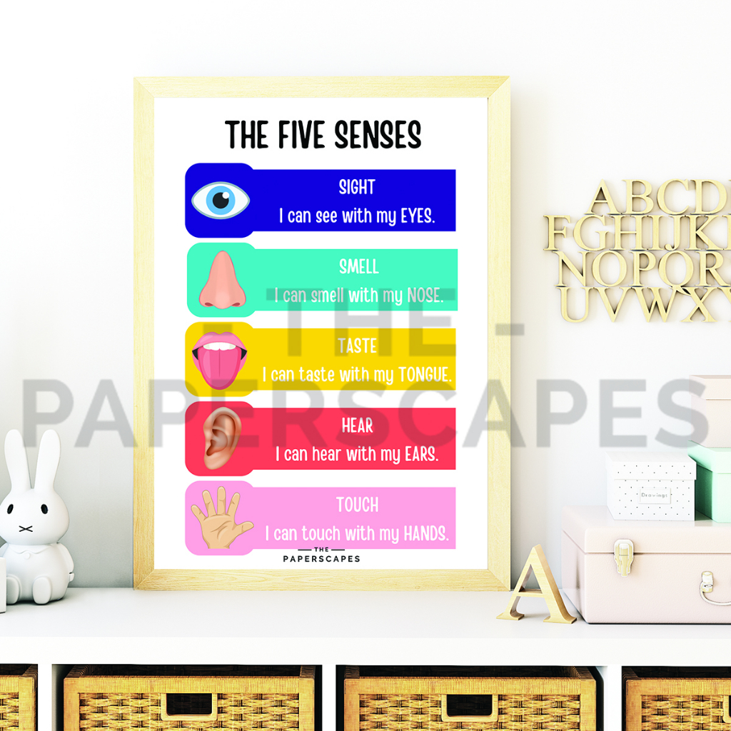 'THE FIVE SENSES' Educational Laminated Wall Poster for Kids and ...