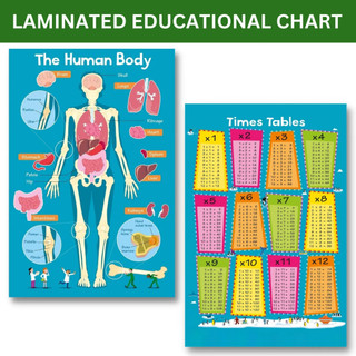 Laminated Human Body, Alphabet, Times Table, Numbers 1-20, Numbers 1 ...