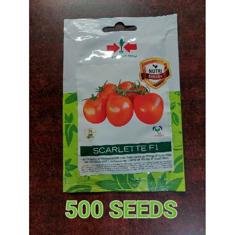 SCARLETTE F1 (500 SEEDS) HYBDRID TOMATO / KAMATIS SEEDS BY EAST WEST ...