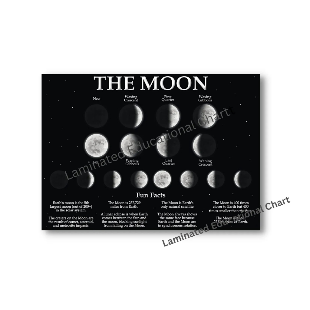 Laminated Phases of the Moon Charts, Moon Phases, Educational Chart for ...