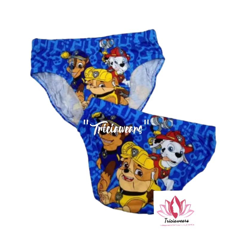Paw Patrol Brief For Kids Inside Garter | Shopee Philippines