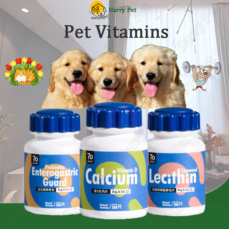 Pet Supplement Pet Vitamins Supplement Multivitamin Probiotics Beauty ...