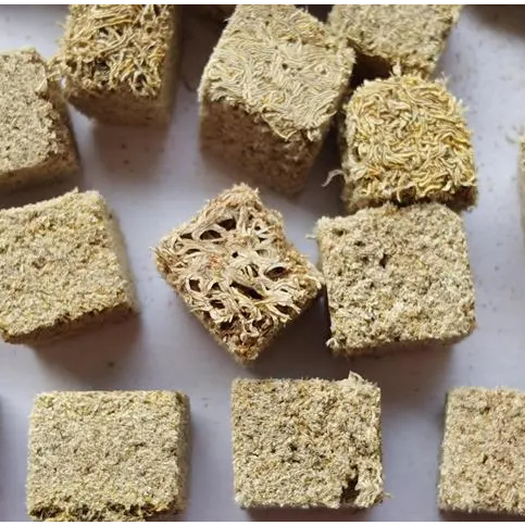 Premium TUBIFEX WORM CUBE (EXPIRED DATE DEC 2026) /daphnia /bloodworm ...