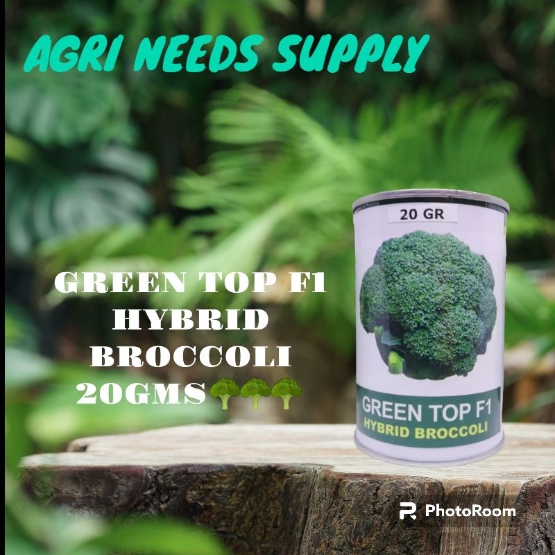 Green Top F1 Hybrid Broccoli Condor (20g) | Shopee Philippines
