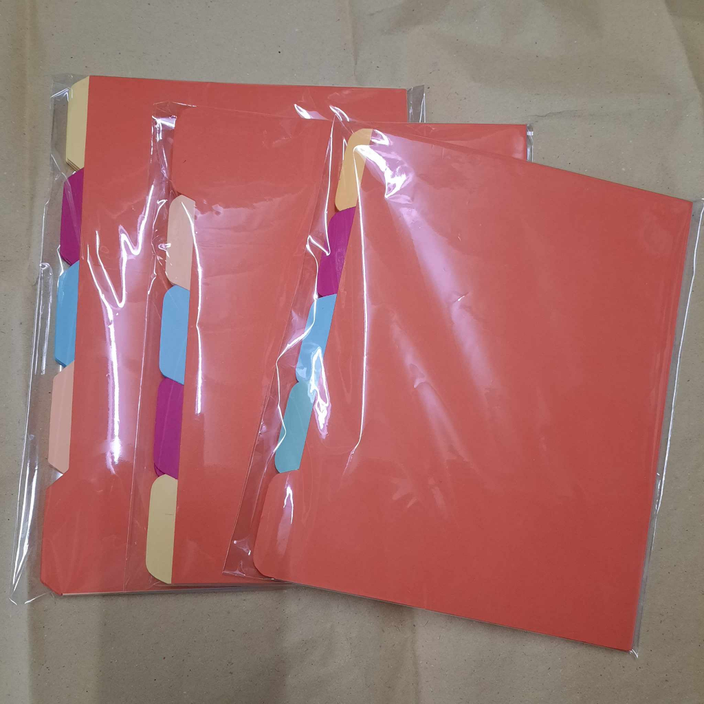 Colored File Divider ( 10sets ) - Long, A4 & Short - 50pcs | Shopee ...