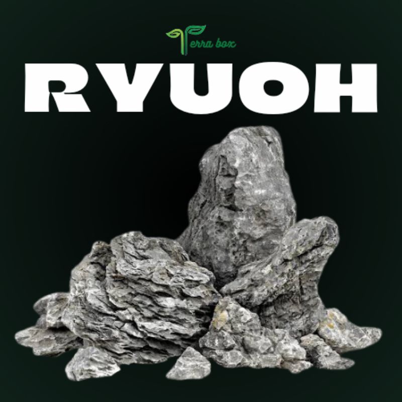 DRAGON STONE, BLACK SEIRYU STONE AND RYUOH STONE FOR AQUARIUM AND ...