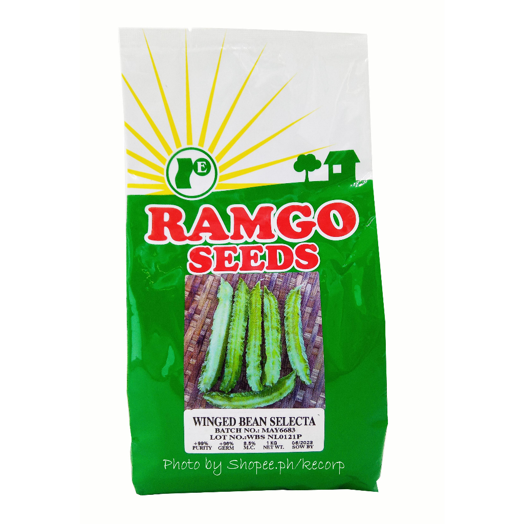 Ramgo Seeds Winged Beans Selecta 1 Kilo Pack S4 GDSFPH_S4 | Shopee ...