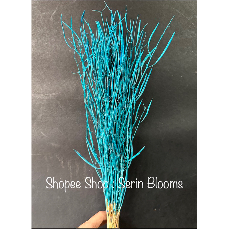 Local Dried Twigs sold per bundle | Shopee Philippines