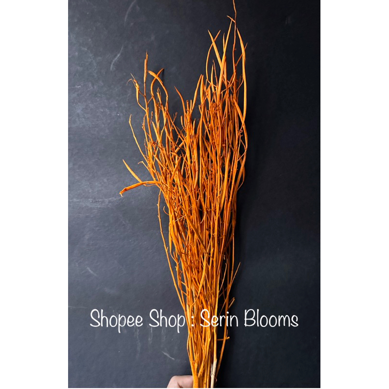 Local Dried Twigs sold per bundle | Shopee Philippines