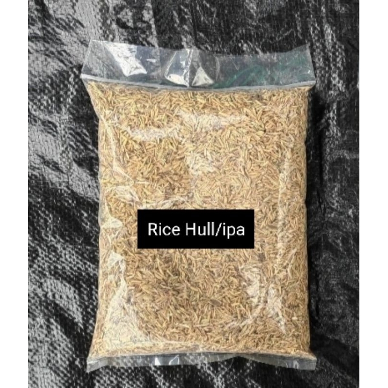 2kilo Rice Hull / IPA ng Palay for Plants and Soil and livestock ...