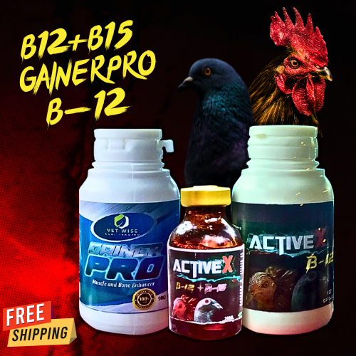 ACTIVEX Vitamins B12+B15 & B12 CAPSULE & CALCIUM+AMINO ACID for ...