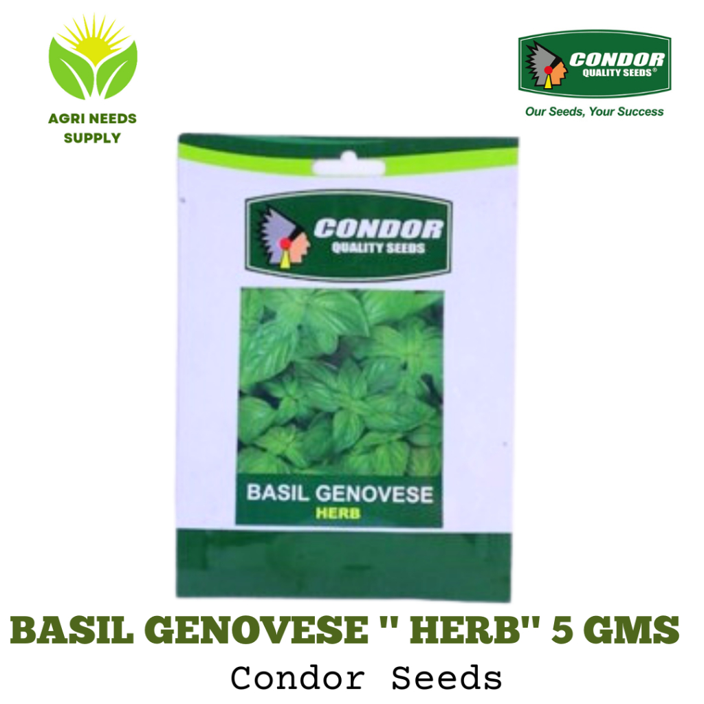Basil Genovese '' Herb'' / Condor Sachet (5gms) | Shopee Philippines
