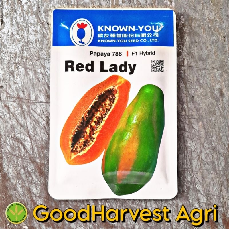 Red Lady F1 Hybrid Papaya Seeds (2 grams / 5 grams / 10 grams) by Known ...
