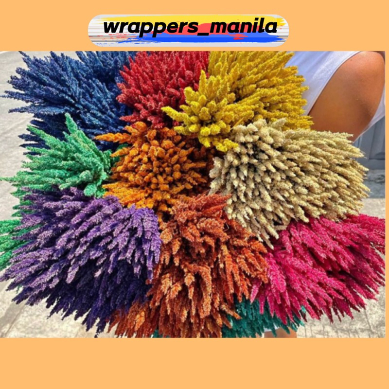 Dried Trigo Grass(LOCAL) | Shopee Philippines