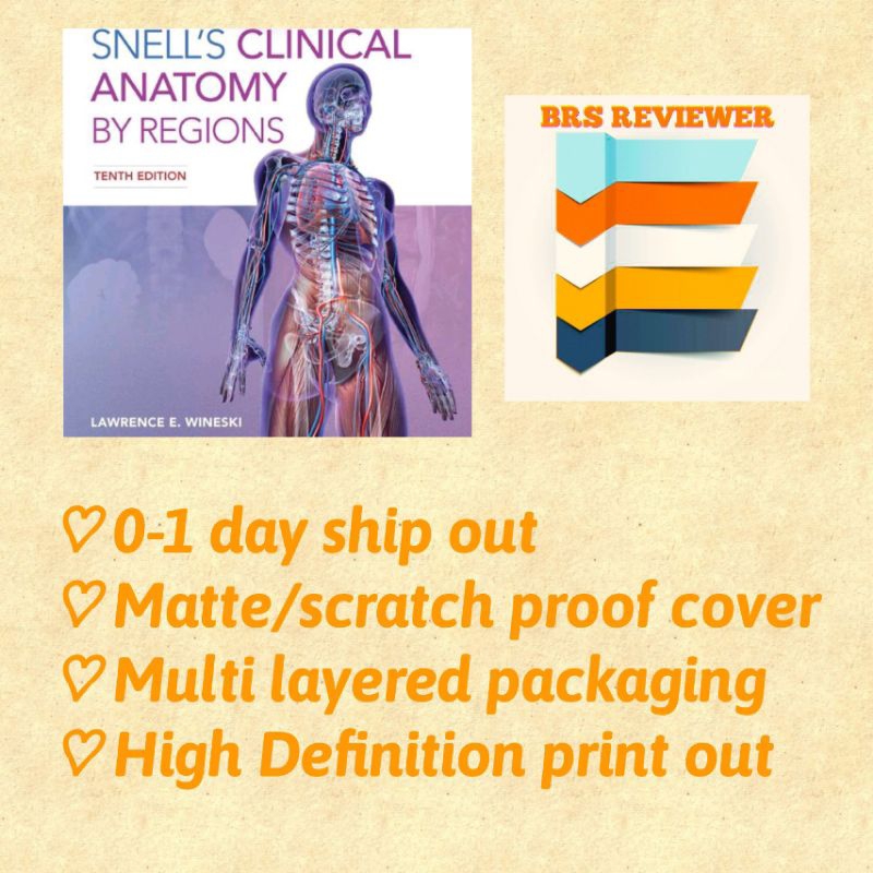 0275 80 GSM Snell’s clinical anatomy by Regions 10th ed [Sameday Pickup ...