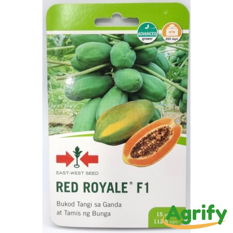 Red Royale F1 EastWest Papaya Seeds | Shopee Philippines
