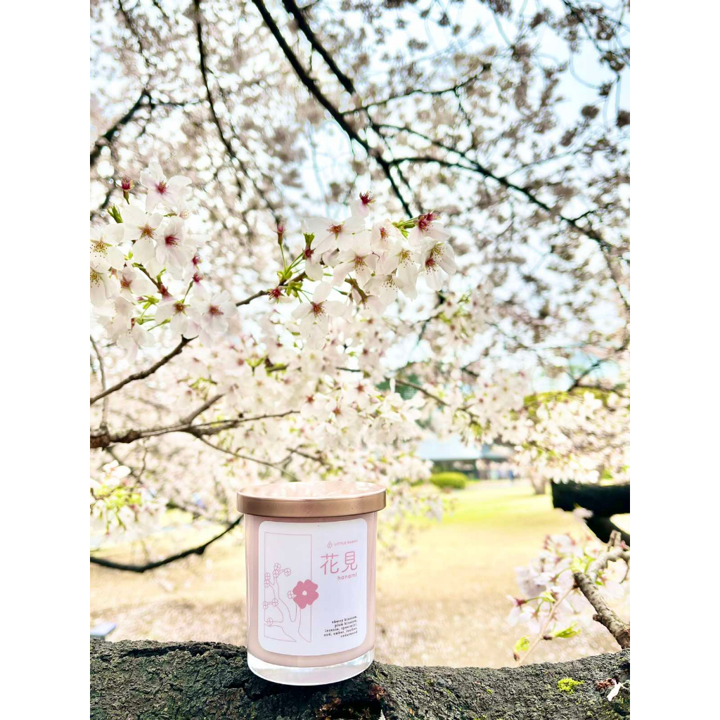 Little Baboo Hanami Scented Candle | Cherry Blossom, Plum Blossom Candle |Souvenir|Giveaways ...