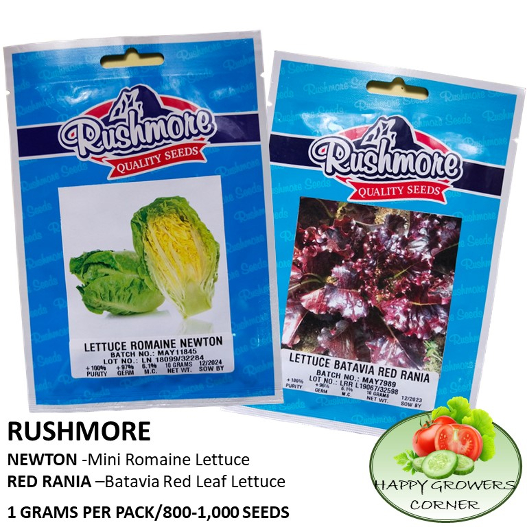 NEWTON Mini Romaine, RED RANIA Batavia Red Leaf Lettuce Seeds by ...
