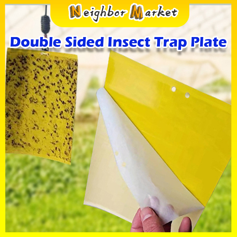 Strong Flies Traps Bugs Sticky Board Yellow Double-Sided Sticky Insect ...