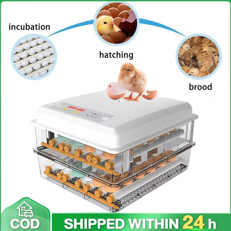 Incubator For Egg Constant Temperature Egg Incubator Full Automatic Egg ...