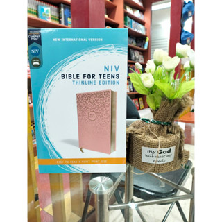 PCBS "NIV BIBLE FOR TEENS THINLINE EDITION" NIV - GOLDEDGE/LEATHER ...