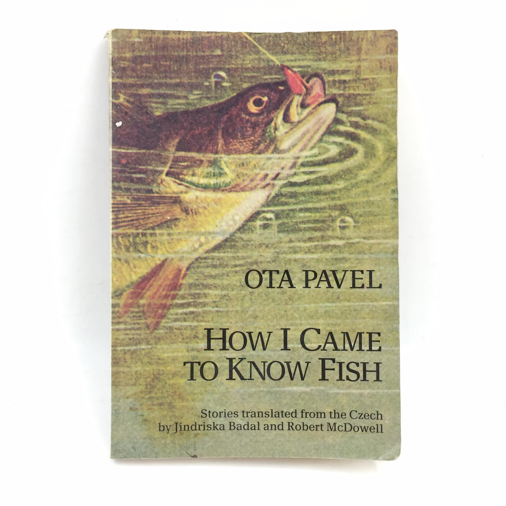 How I Came to Know Fish - Children's Magical Fiction Book | Shopee ...