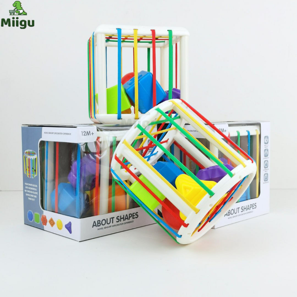 Miigu Baby New Sensory Toys Balls Toy Shape Sorters Sensory CAGE ...