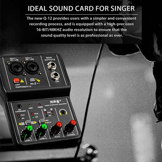 TEYUN Q12 USB Audio Interface + 48V Phantom Power with 3.55m Microphone ...