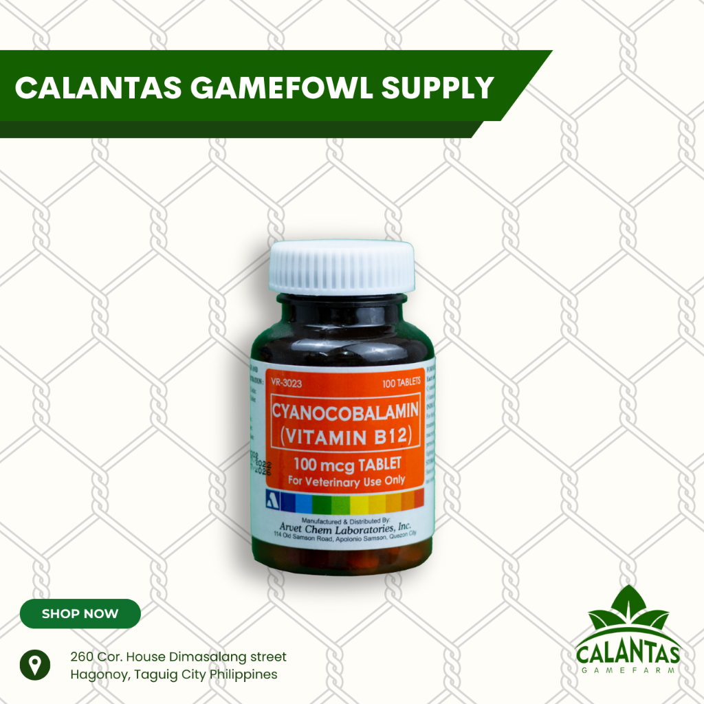 Arvet® CYANOCOBALAMIN (VITAMIN B12) 50CAPLETS | Shopee Philippines Arvet® CYANOCOBALAMIN (VITAMIN B12) 50CAPLETS | Shopee Philippines