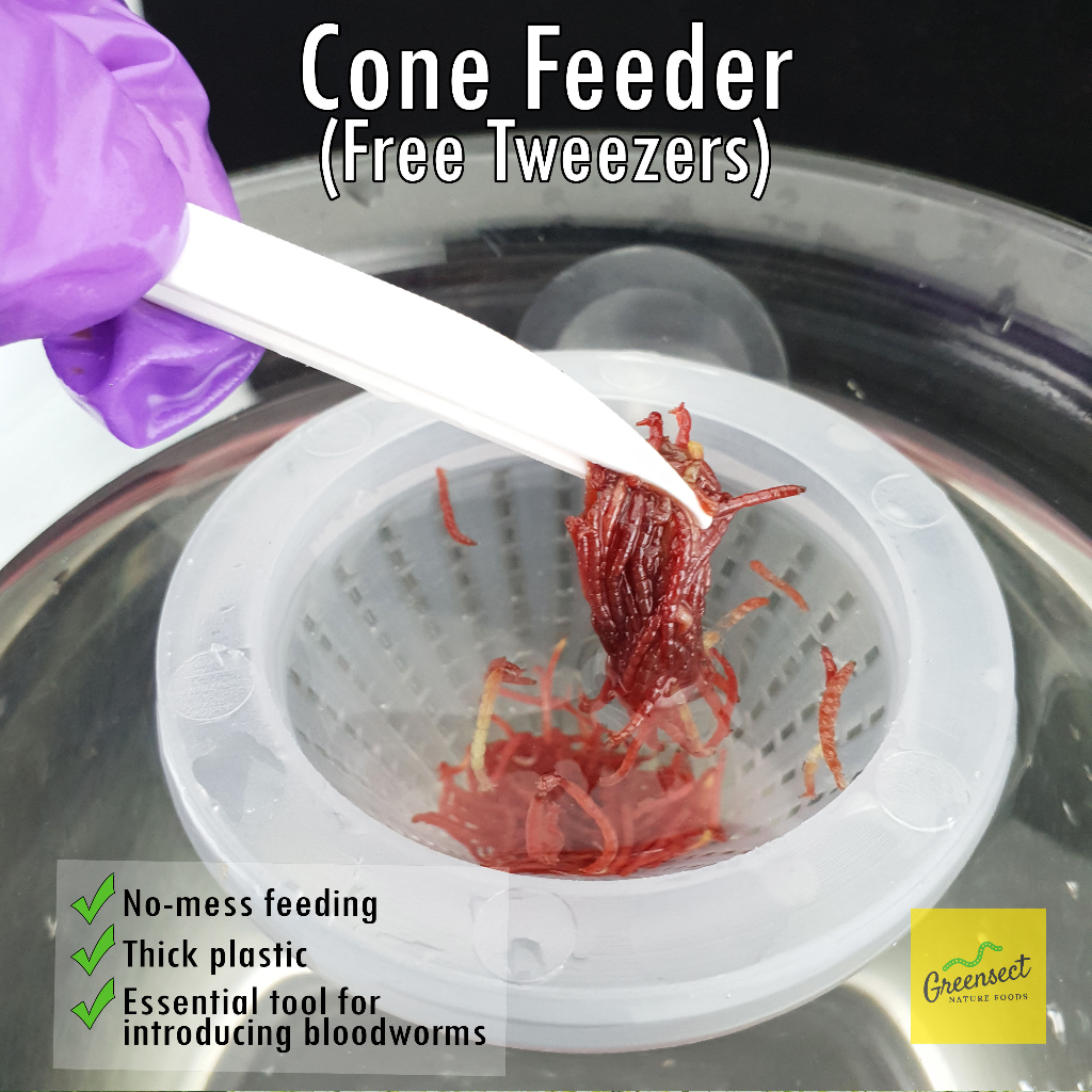 FROZEN BLOODWORM CUBES (WHOLESALE) fish food pet food | Shopee Philippines