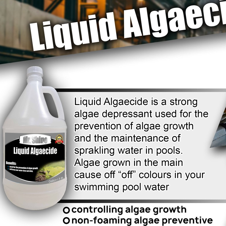Liquid Algaecide (Gallon) (Mr. Shine) | Shopee Philippines
