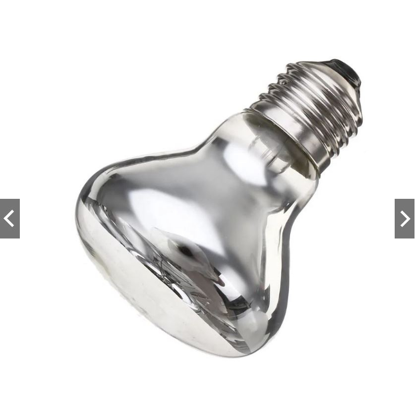 25W Heat Lamp Heater Pet Animal Brooder Heat Day Night Reptile Basking ...