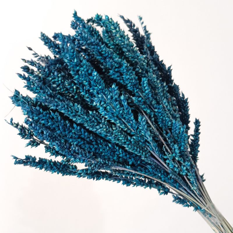 Dried Trigo Flower (half or whole bundle) | Shopee Philippines