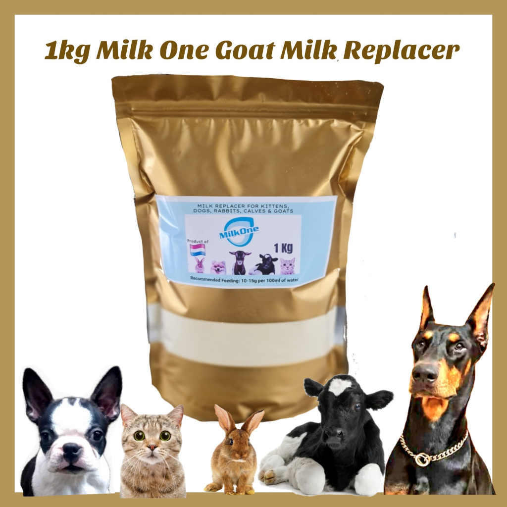 Milk one Sprayfo PREMIUM GOATS MILK REPLACER FOR CATS DOGS KITTENS ...