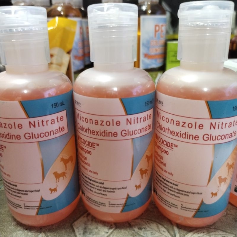 Mycocide Anti fungal Anti bacterial Shampoo 150 ml | Shopee Philippines