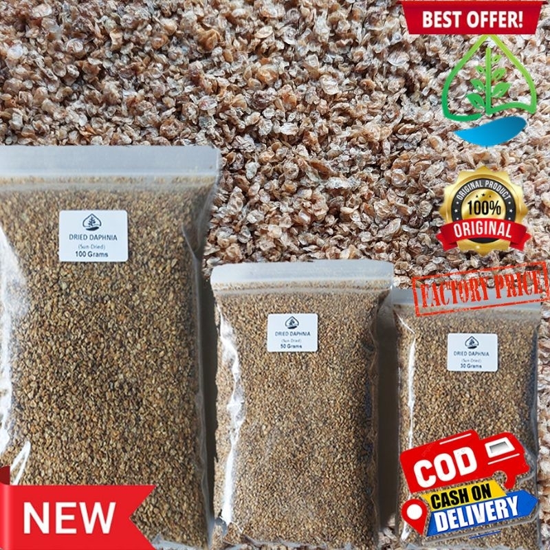 Sun-Dried DAPHNIA Fish Food Flakes Feeds Floating Water Flea BBS Po1 ...