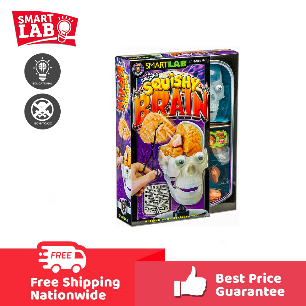 Smart Lab 09288 Squishy Brain Multicolor | Shopee Philippines