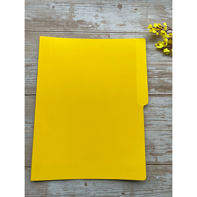 Colored File Folder Long 11pts sold by 5's / 10's | Shopee Philippines