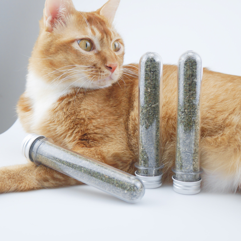 24 tubes 45ml Catnip for Cats | Shopee Philippines