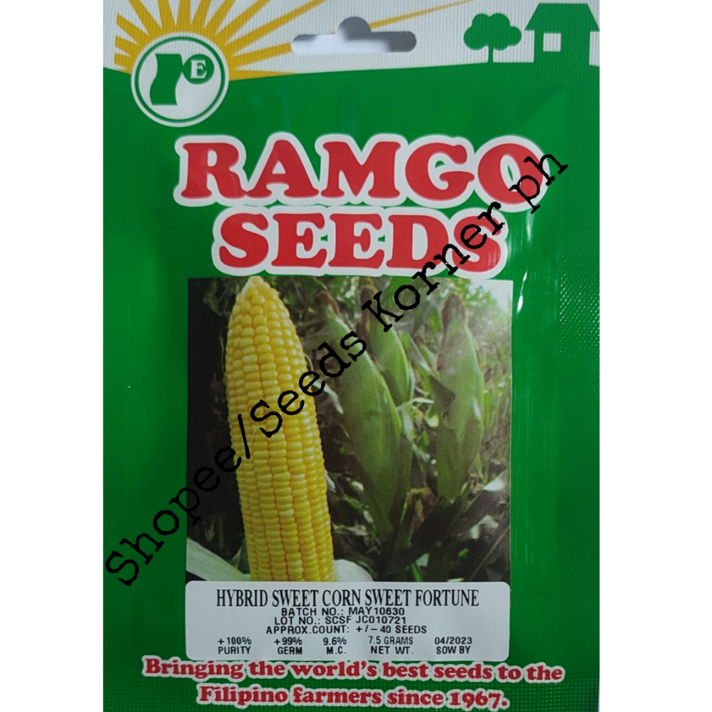 Ramgo Seeds Sweet Corn Hybrid Original and High Quality | Shopee ...