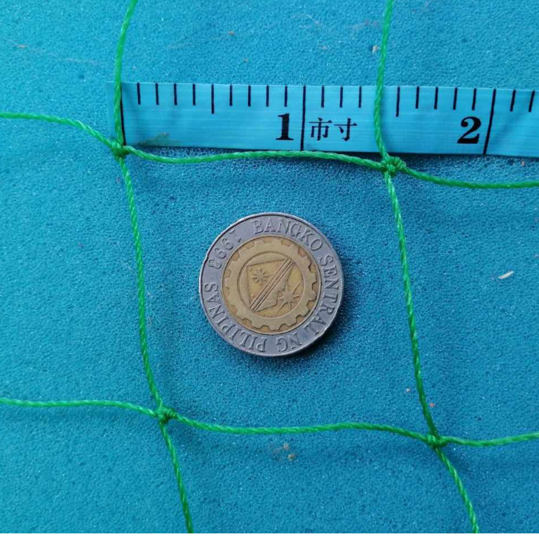 Fishing Net (50 meters) 12ft, 9ft, 7ft, 6ft | Shopee Philippines