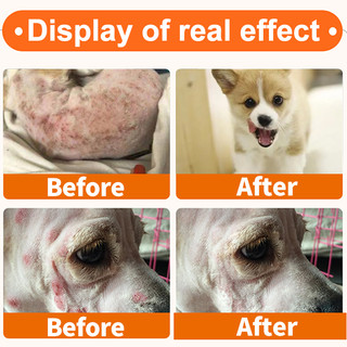 Pet Spray For Skin Disease 60ML Galis Ng Aso Gamot Dogs Cats Anti ...