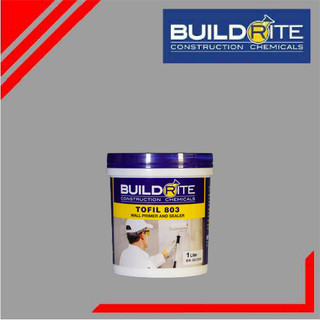 BUILDRITE PUTTY MASTER (1KG) Joint Filler & Plaster Putty | Shopee ...
