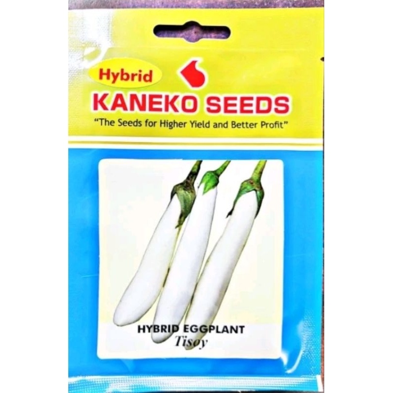 TISOY F1 HYBRID WHITE EGGPLANT MAPUTING TALONG SEEDS APPROX 228 SEEDS BY KANEKO SEEDS | Shopee ...