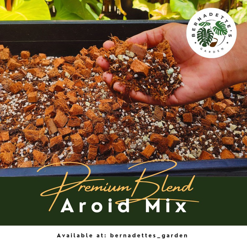 Aroid Mix Premium blend | Shopee Philippines