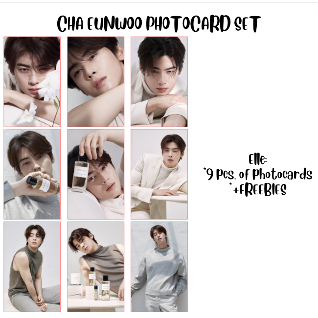 ASTRO CHA EUN WOO Photocard PC set Passport ID Magnet KPOP Fanmade 9 ...