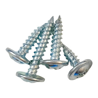 (500pcs) Pan Head Self Tapping Screw Panhead Screw Job Screw Hardiflex ...