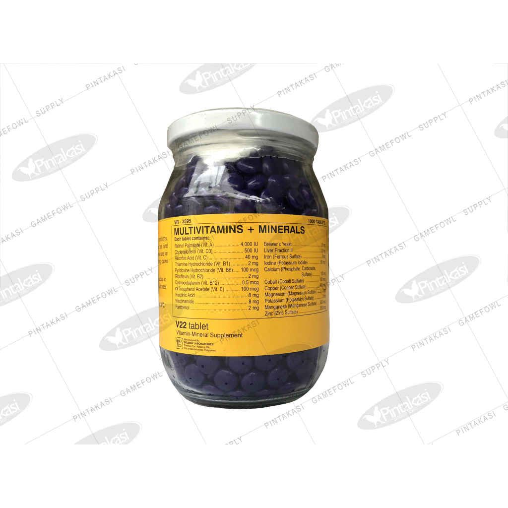 V22 1000 Tablets Multivitamins and Minerals | Shopee Philippines