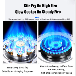 Hotbao Gas Stove Recessed Lpg Stainless Steel Large Gas Stove Dual ...