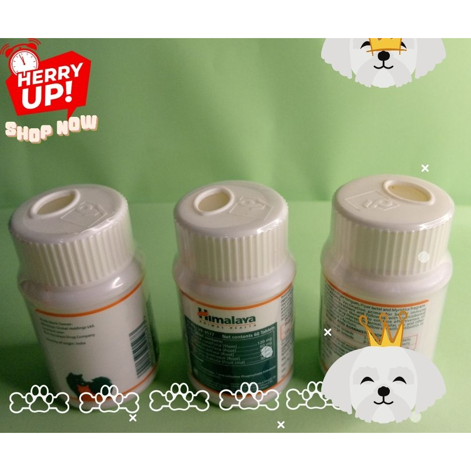 Himalaya Immunol for dogs and cats (60 tablets) | Shopee Philippines